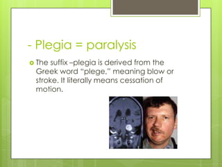 Suffixes associated with the nervous system | PPTX | Death, Injury, or ...