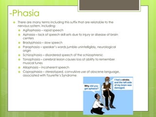Suffixes associated with the nervous system | PPTX | Death, Injury, or ...