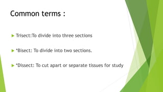 Anatomical : suffix of anatomy | PPT