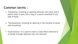 Anatomical : suffix of anatomy | PPT