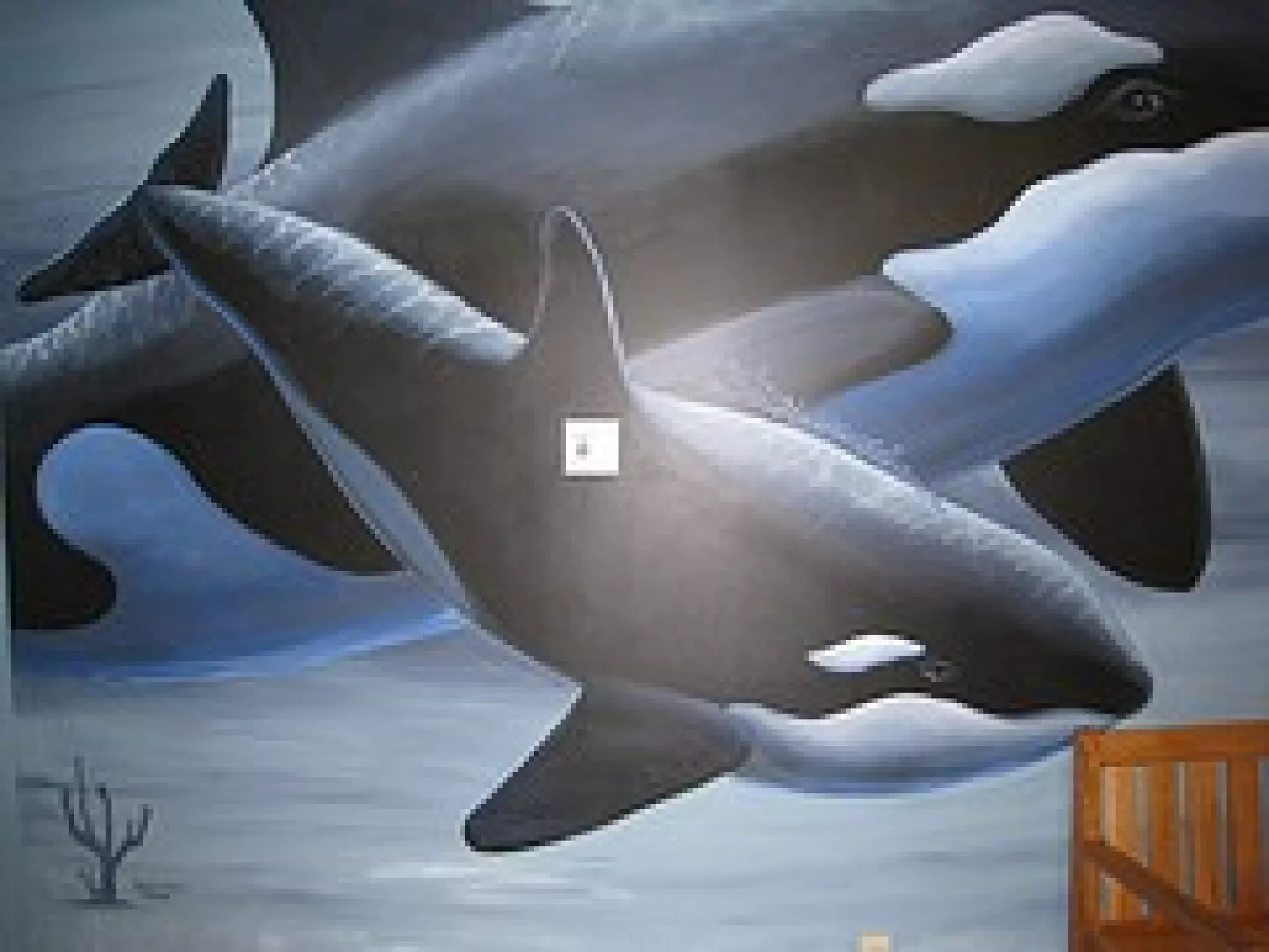 Suffolk Libraries | PPT