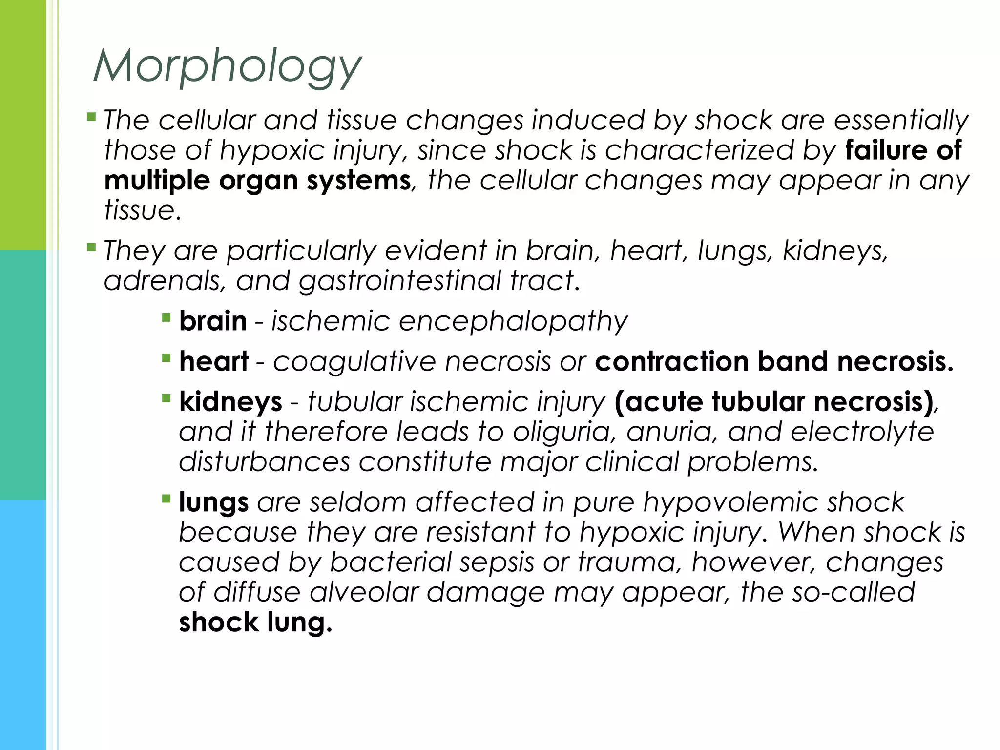 Pathology of hemodynamic disorders part 2 nov 2017 Dr. Sufia Husain | PPT