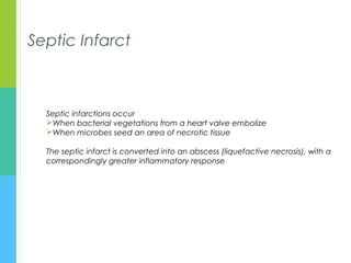 Pathology of hemodynamic disorders part 2 nov 2017 Dr. Sufia Husain | PPT