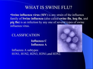 Swine flu PPT | PPT