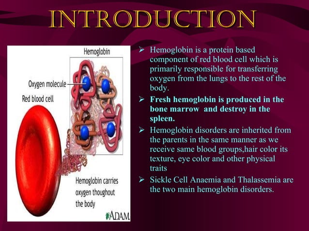 HEMOGLOBIN DISORDERS | PPT