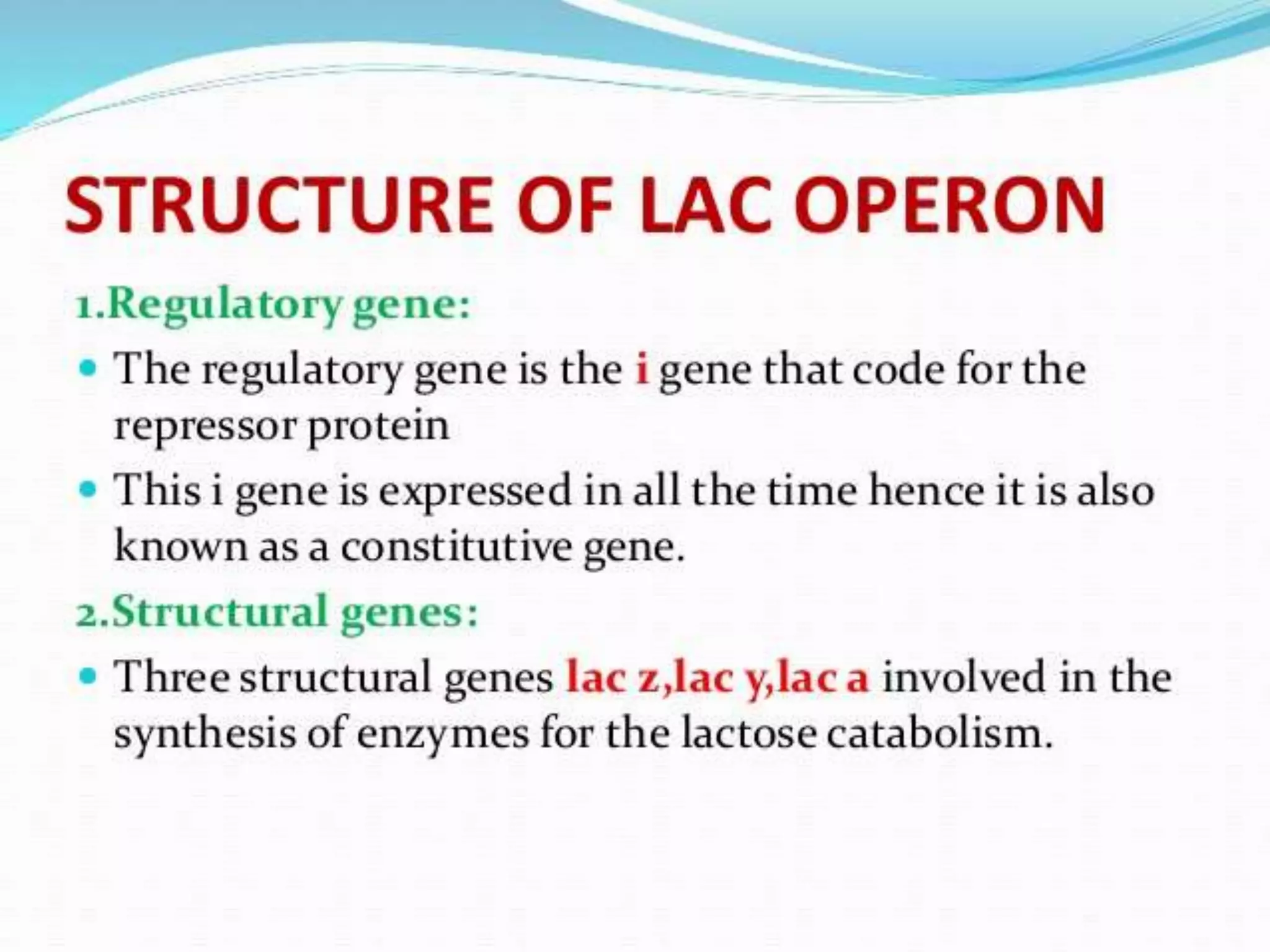 Lac Operon | PPT