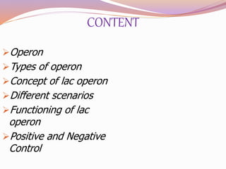 Lac Operon | PPT