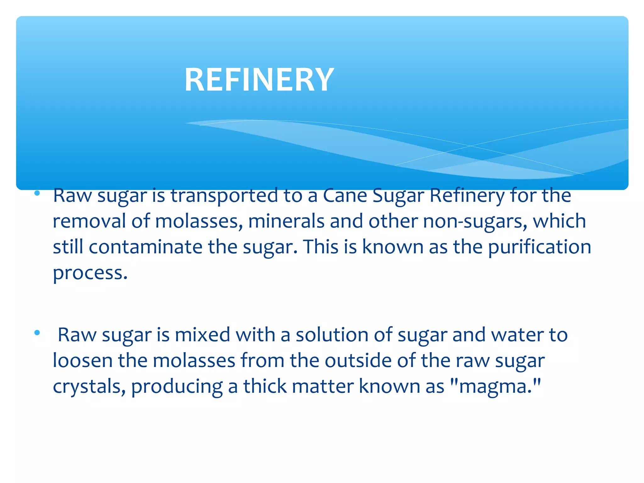 Steps involved in Sugar Production | PPT | Commodities | Economy