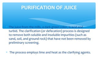 Steps involved in Sugar Production | PPT