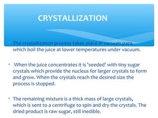 Steps involved in Sugar Production | PPT