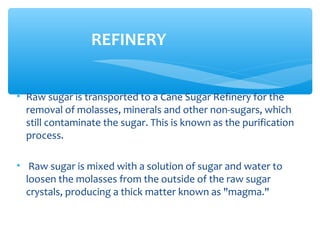 Steps involved in Sugar Production | PPT