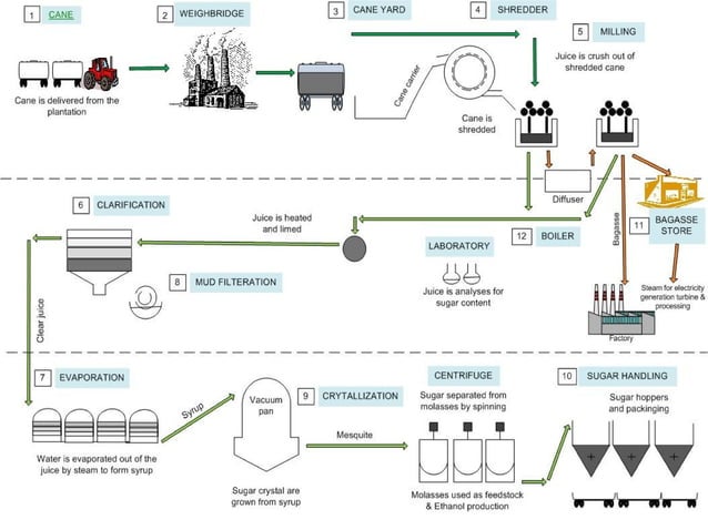 Steps involved in Sugar Production | PPT | Commodities | Economy