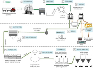 Sugar Processing Steps