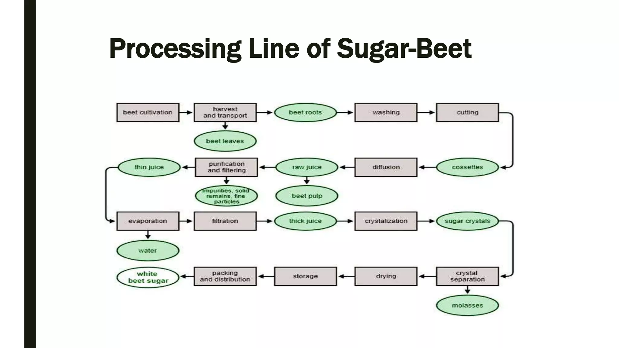 Sugar-Beet processing | PPTX