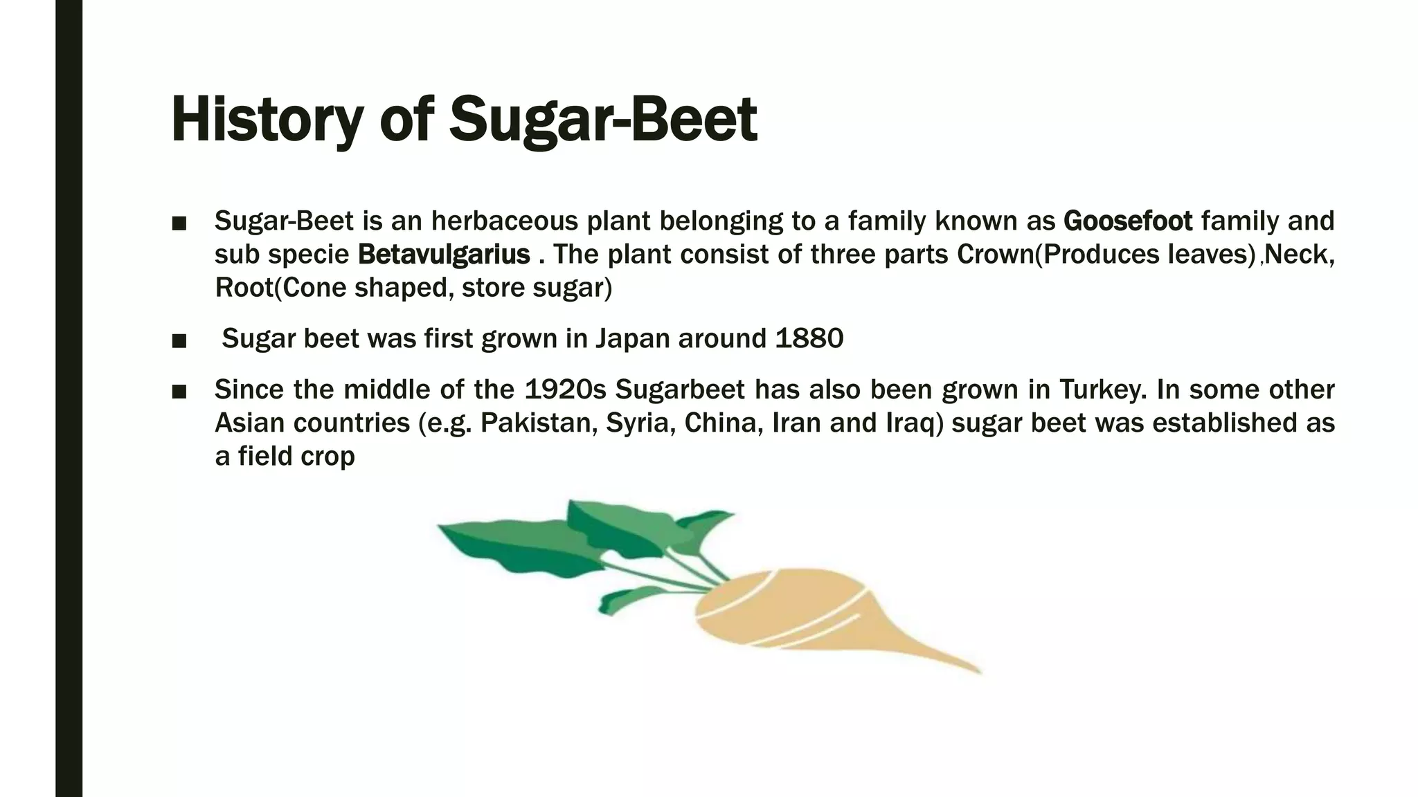 Sugar-Beet processing | PPTX