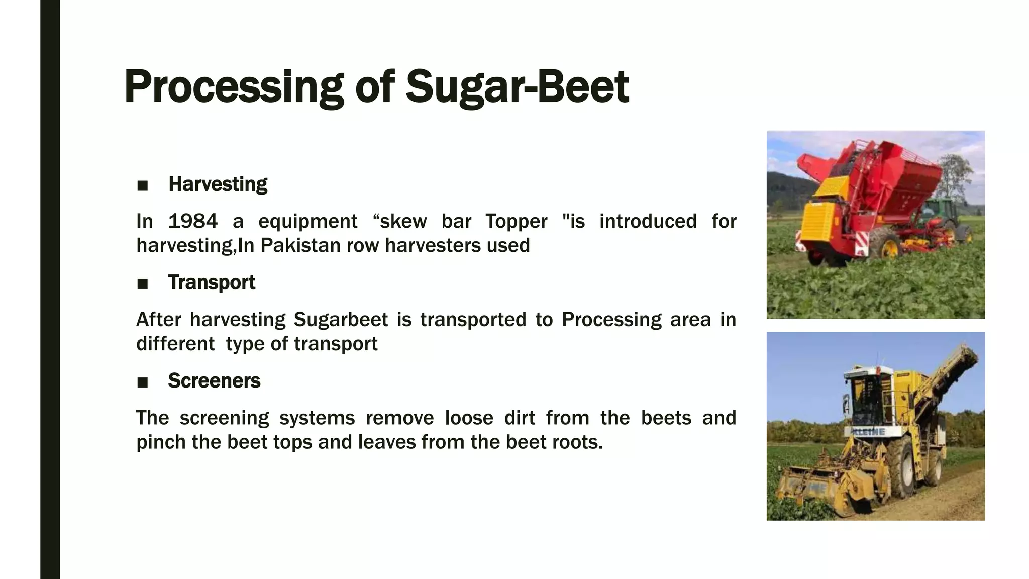 Sugar-Beet processing | PPTX