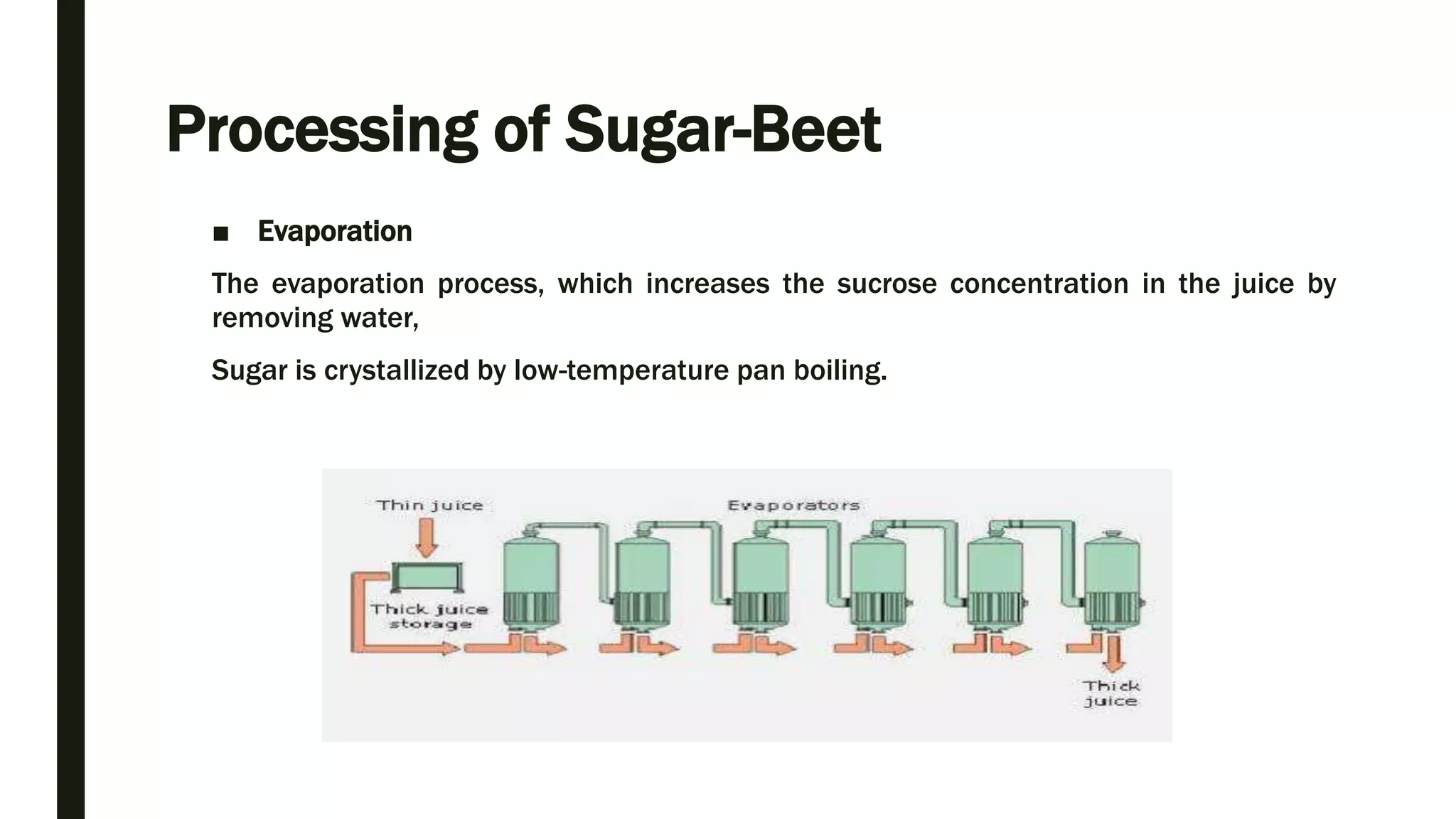Sugar-Beet processing | PPTX