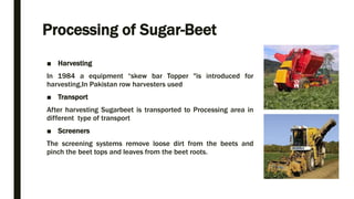 Sugar-Beet processing | PPTX