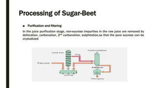 Sugar-Beet processing | PPTX