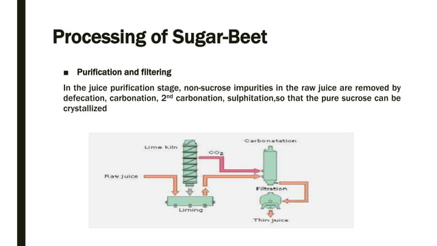 Sugar-Beet processing | PPTX