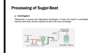 Sugar-Beet processing | PPTX