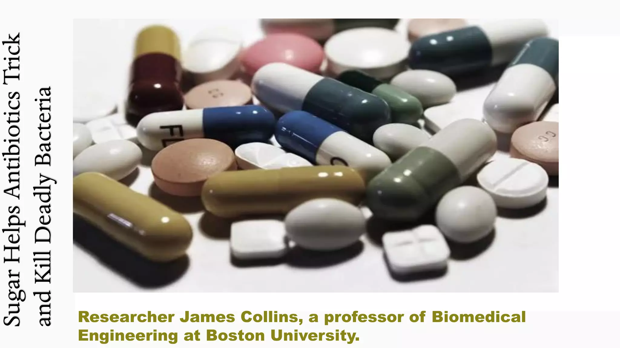 Sugar killing bacteria ! | PPT