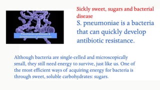 Sugar killing bacteria ! | PPT