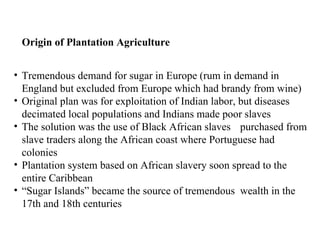 Sugarand slavery | PPT