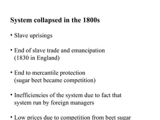 Sugarand slavery | PPT