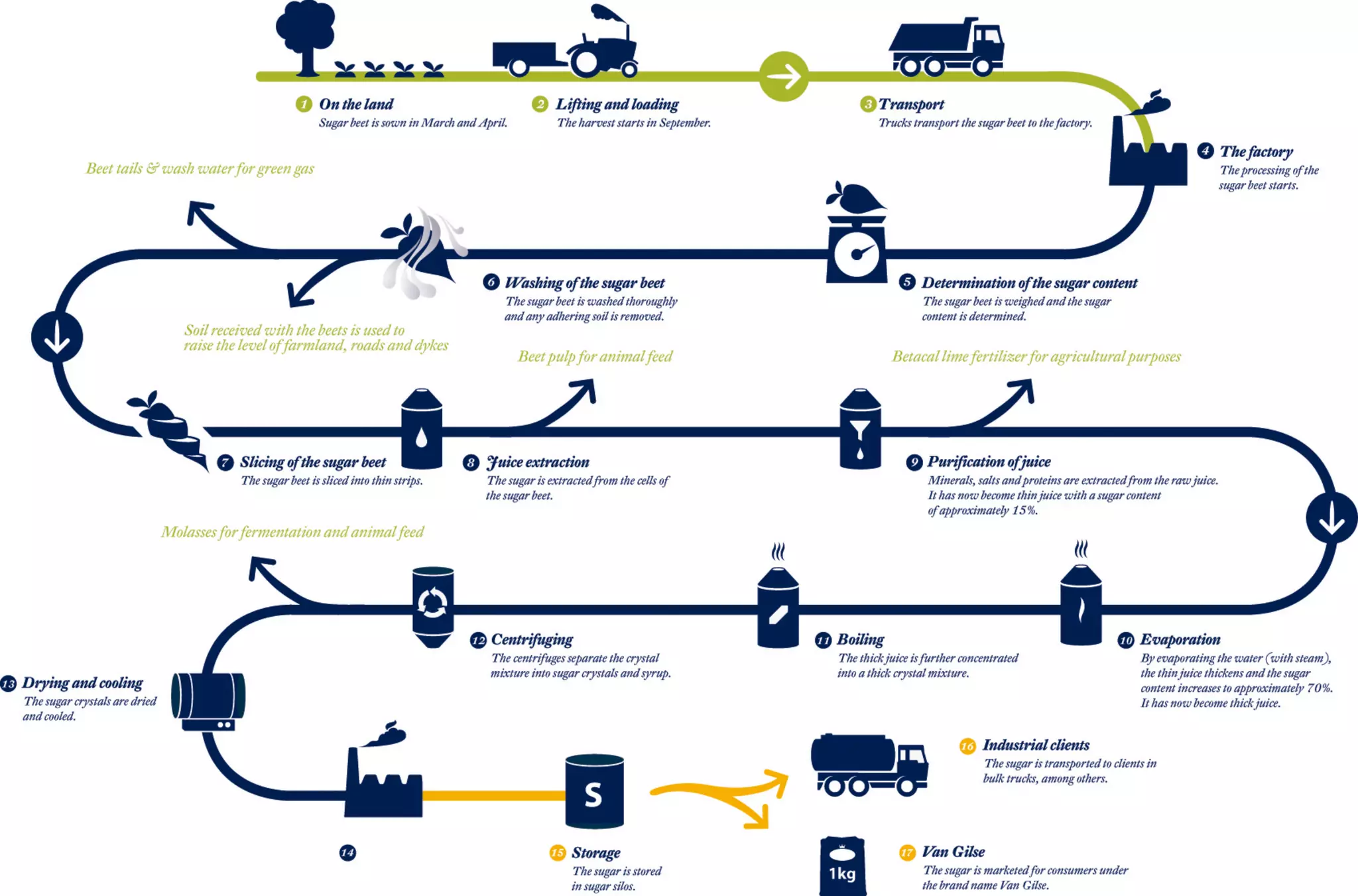 Sugar beet production | PDF