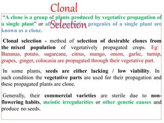 SUGARCANE-1.pptx rabi crop agriculture ppt | PPTX