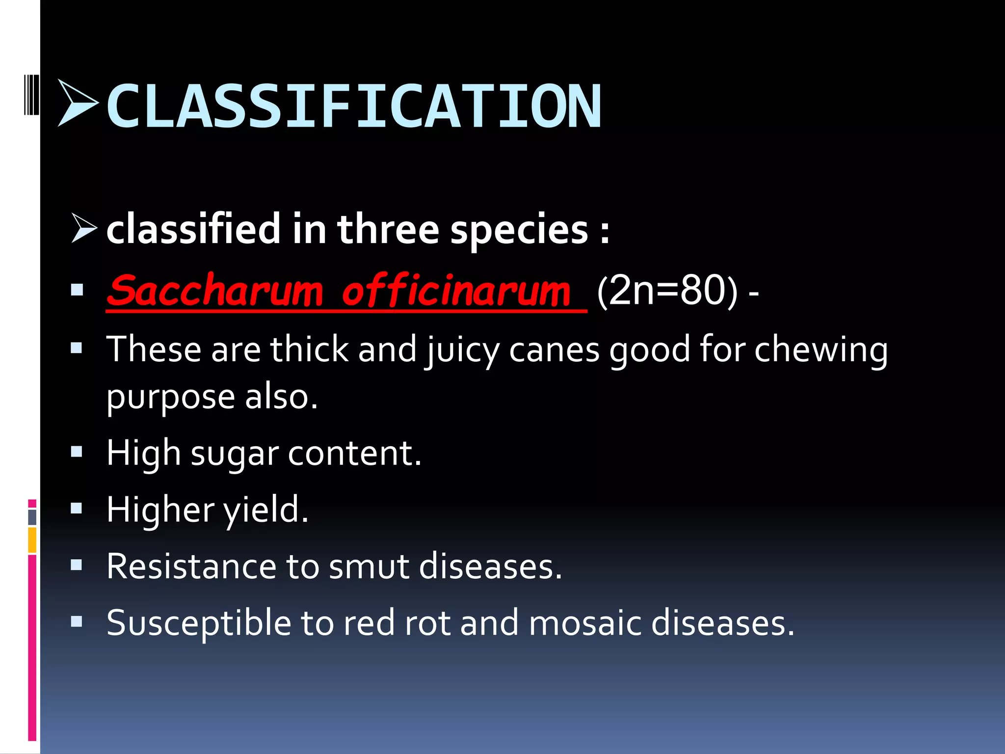 Sugarcane ( Scientific cultivation of sugarcane crop) | PPTX