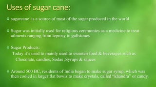 Sugar cane | PPTX