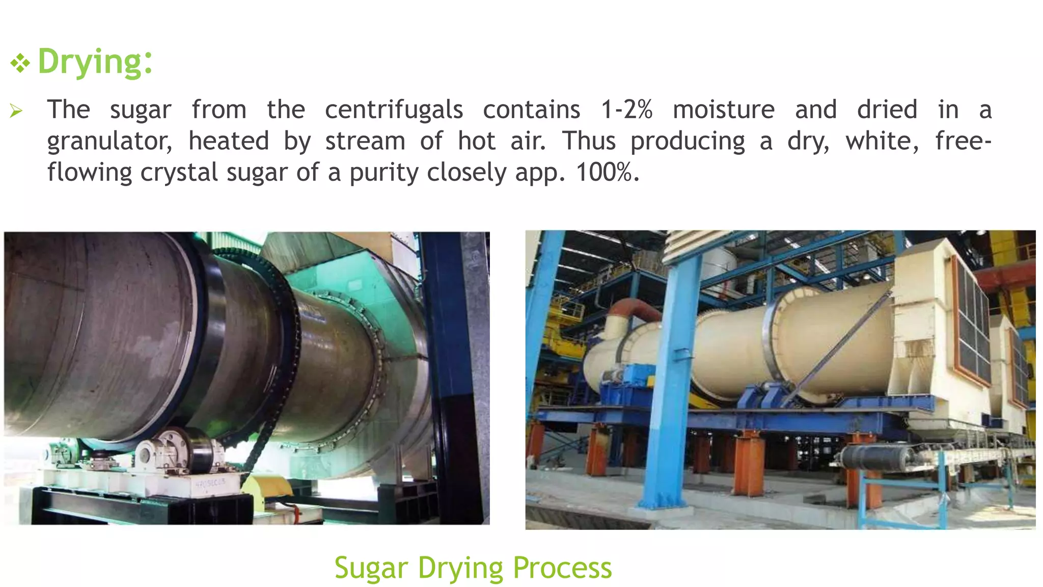 Sugarcane | PPTX