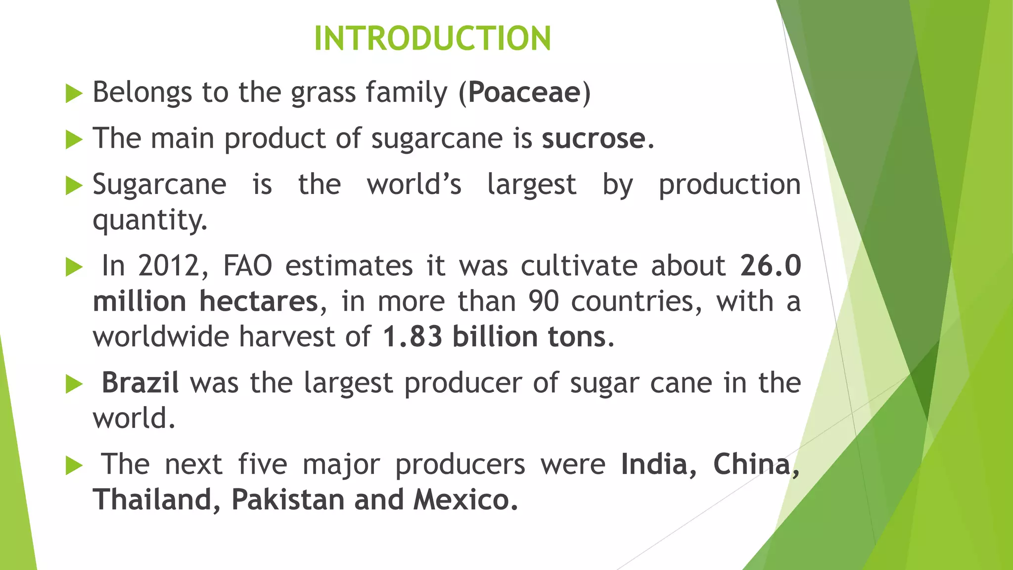 Sugarcane | PPTX