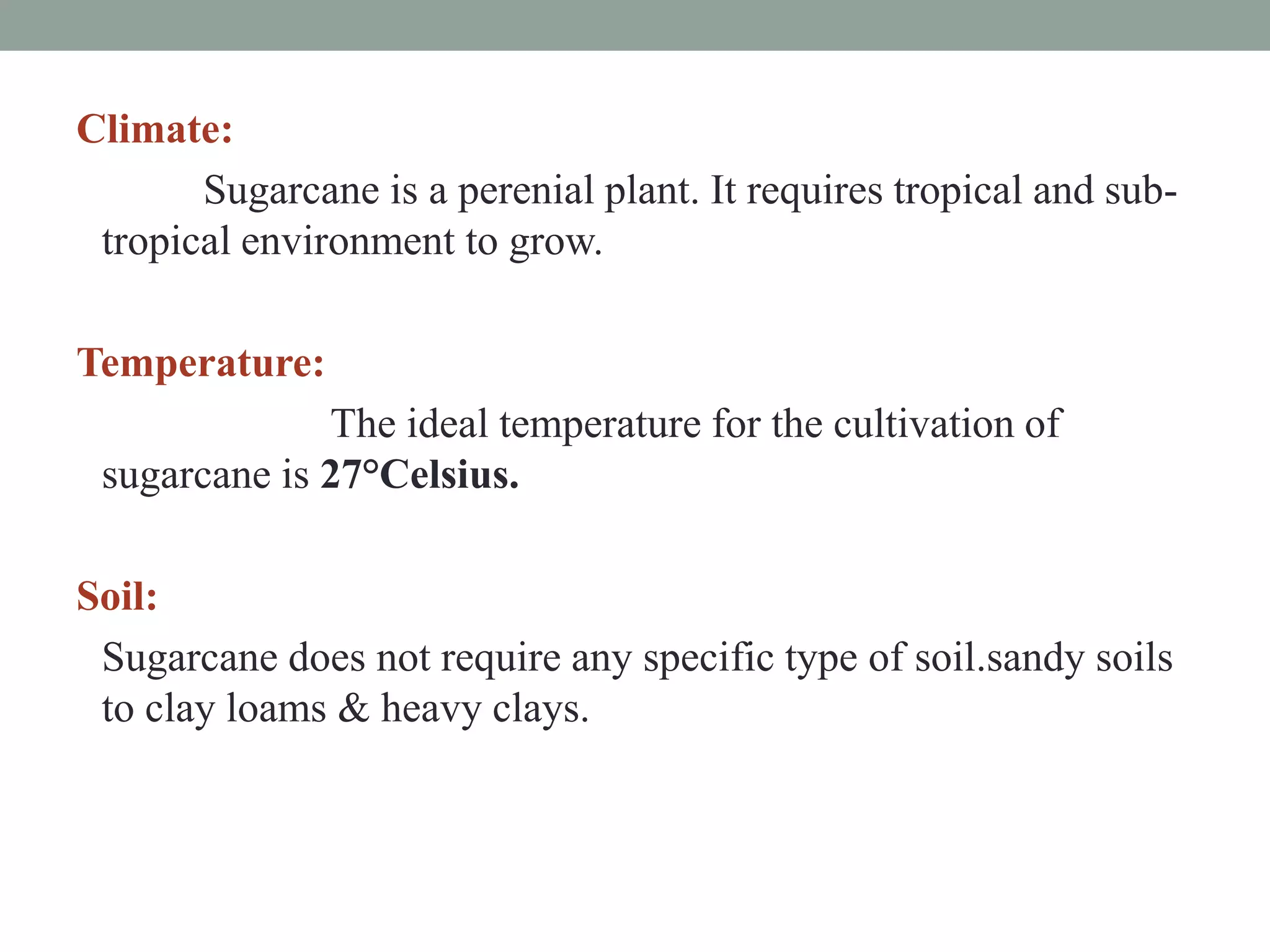 Sugarcane.. AHSAN SALEEM | PPTX
