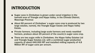 Breeding Sugar Cane (Saccharum sp.) | PPTX