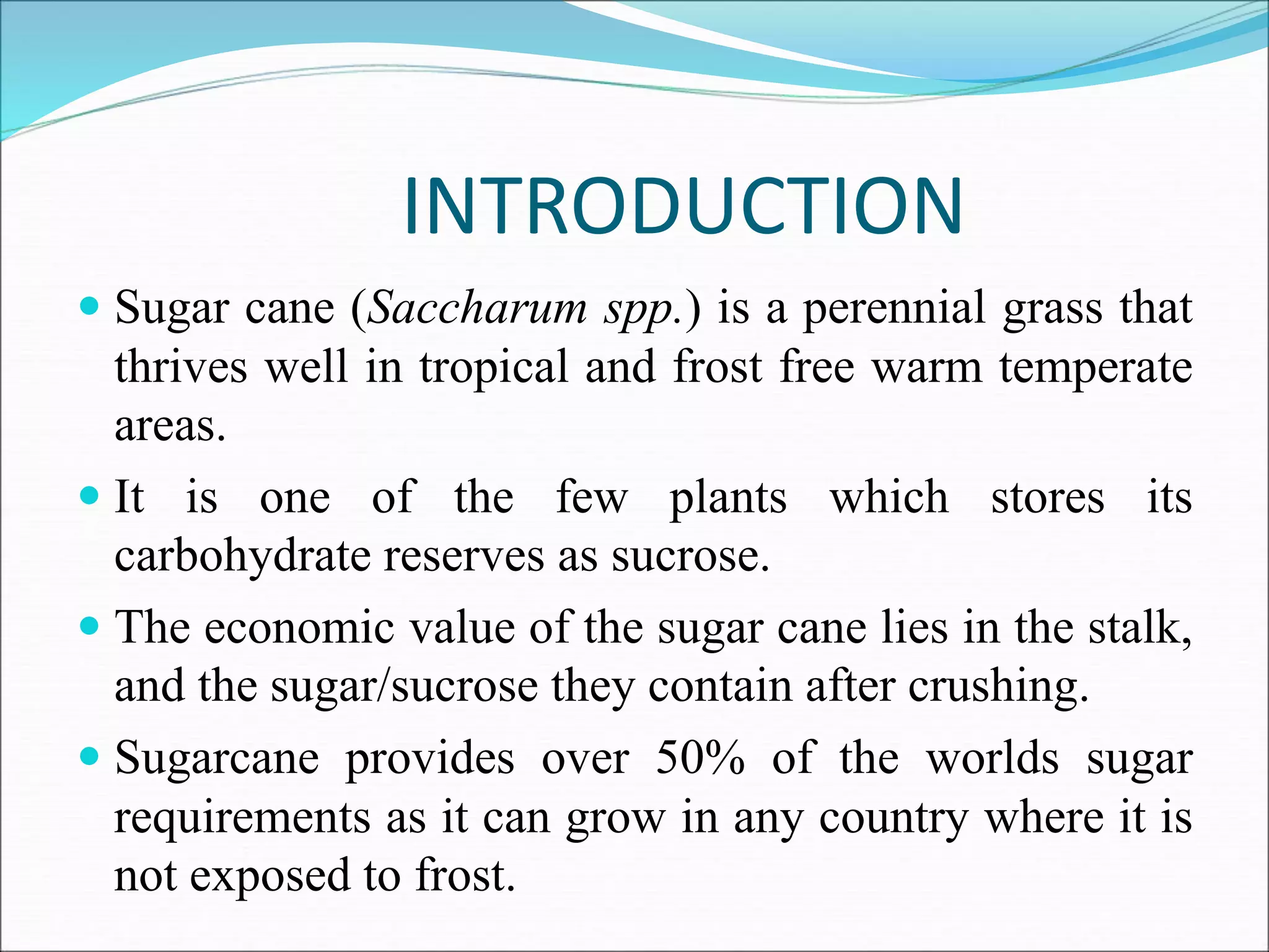 SUGARCANE.ppt