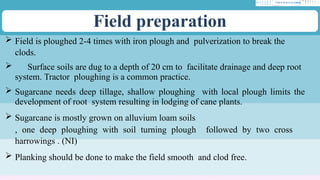 Part 1 Cultivation Practice on Sugarcane .pptx