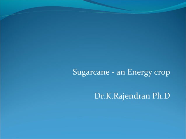 Sugar cane - an energy crop | PPT