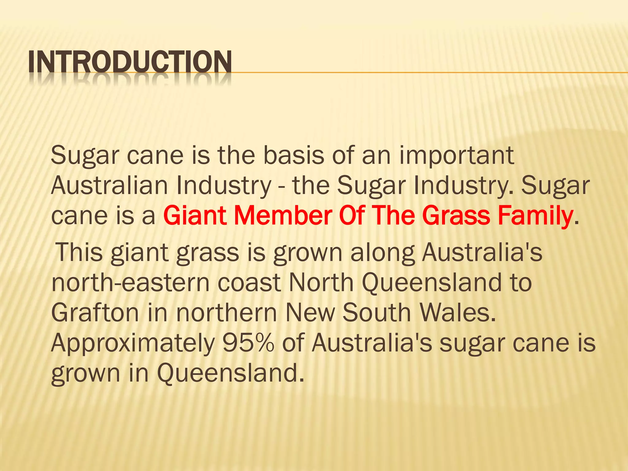 Sugarcane cultivation in Australia | PDF | Agriculture | Industries