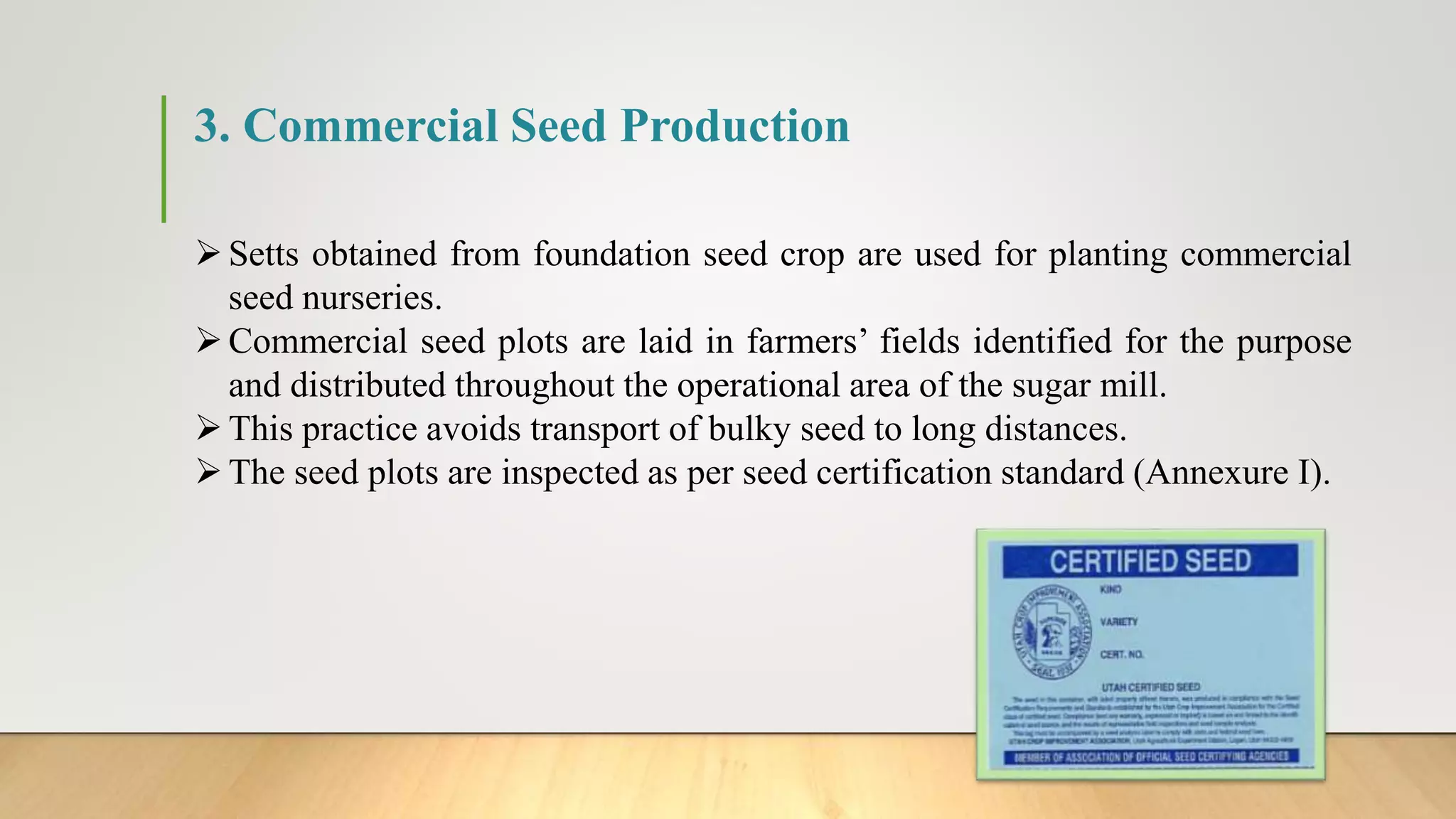 Sugarcane seed production | PPTX