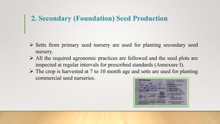 Sugarcane seed production | PPTX