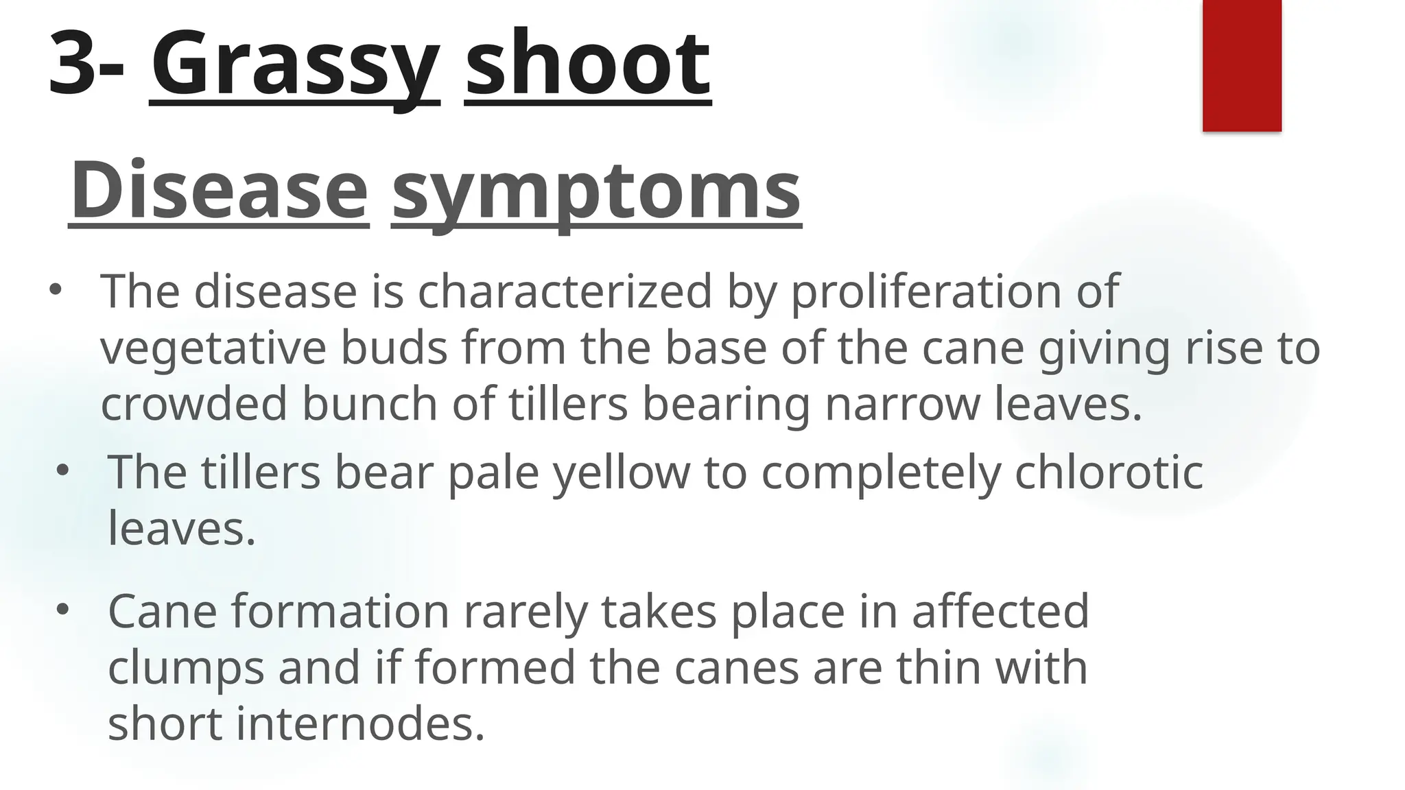 Sugarcane Disease and their management.pptx