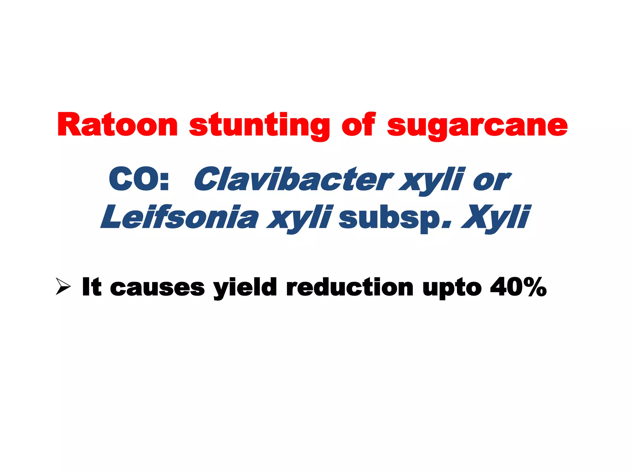 Sugarcane diseases | PPT
