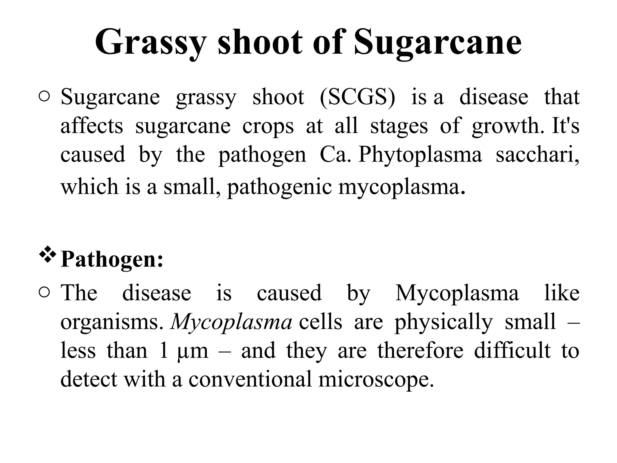 Sugarcane Diseases. pptx