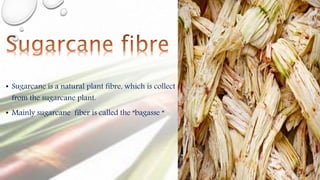 Sugarcane fibre | PPTX