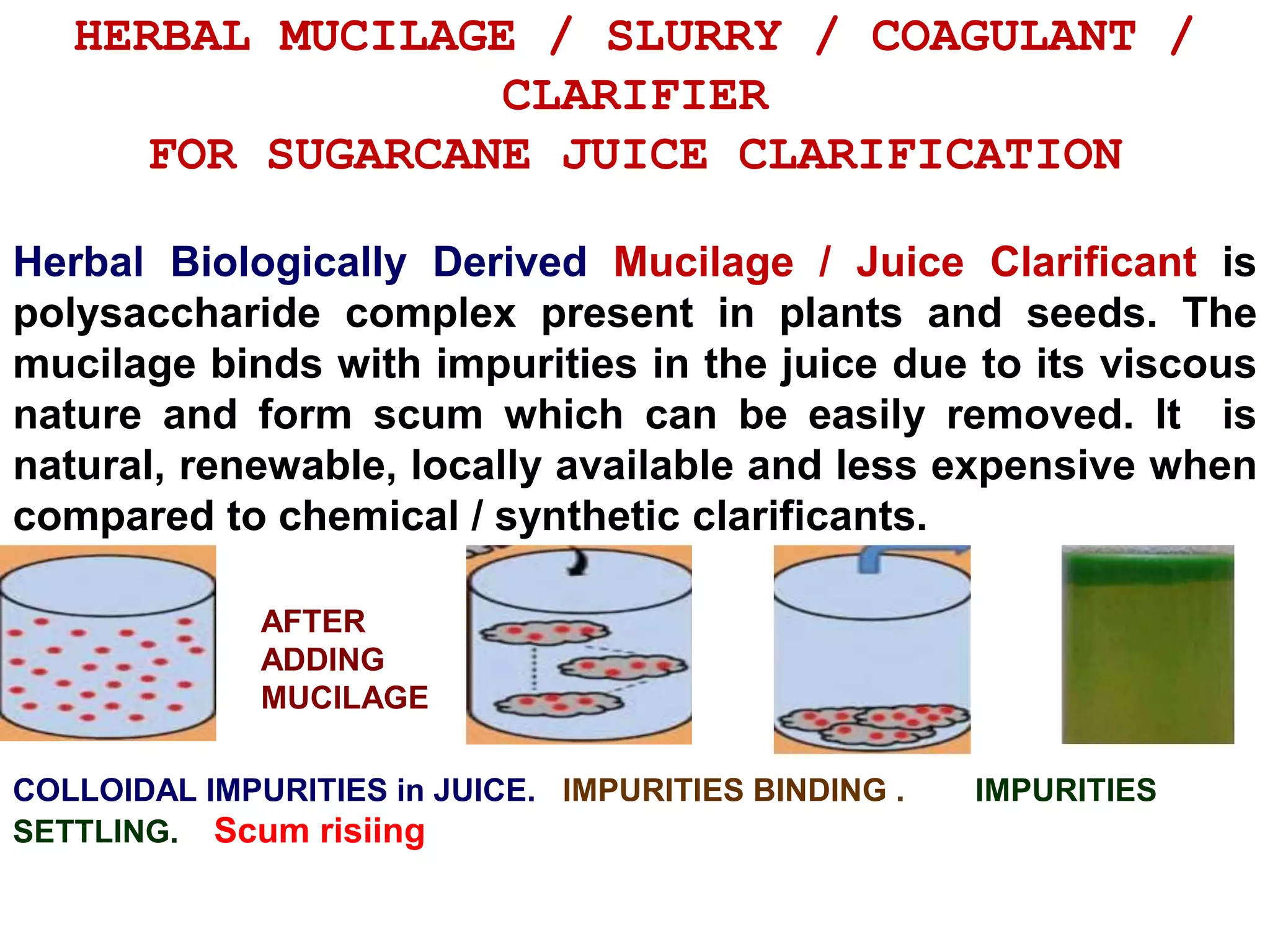 INNOVATIONS IN SUGARCANE JUICE CLARIFICATION TECHNOLOGY FOR QUALITY GUR ...