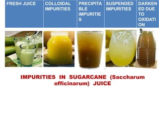 INNOVATIONS IN SUGARCANE JUICE CLARIFICATION TECHNOLOGY FOR QUALITY GUR ...