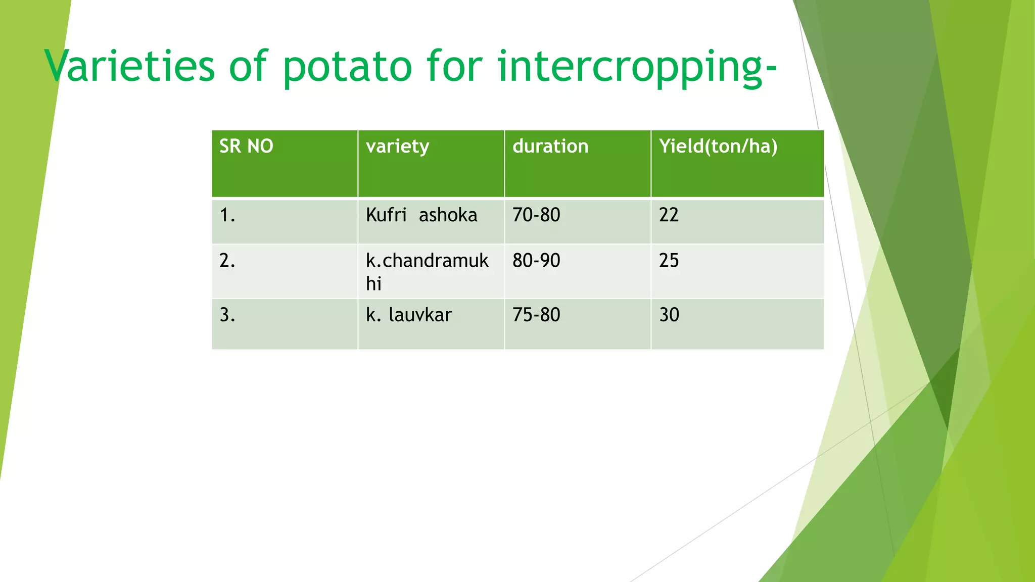 Sugarcane & potato intercropping | PPTX